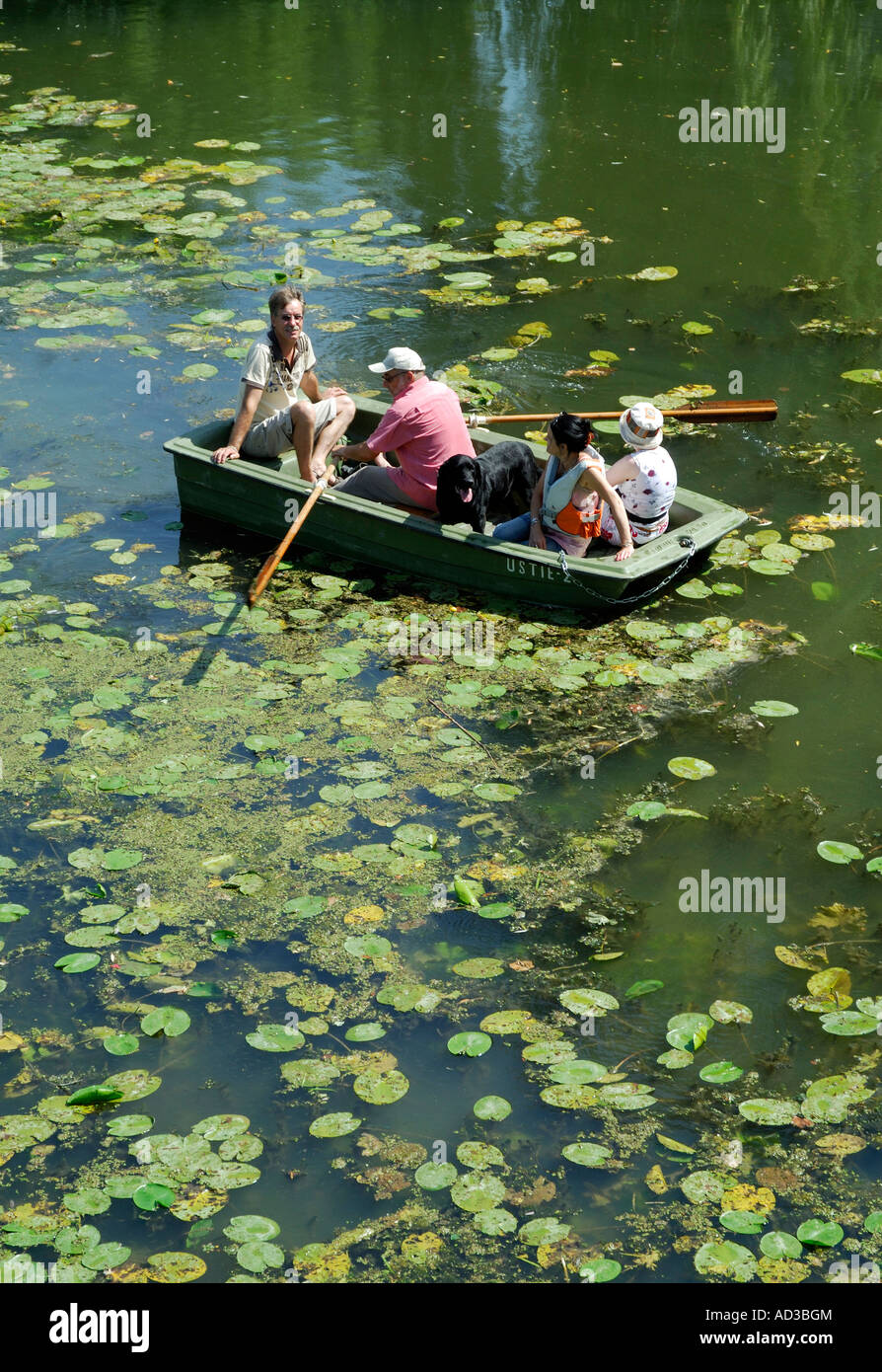 Dog rowing boat hi-res stock photography and images - Alamy
