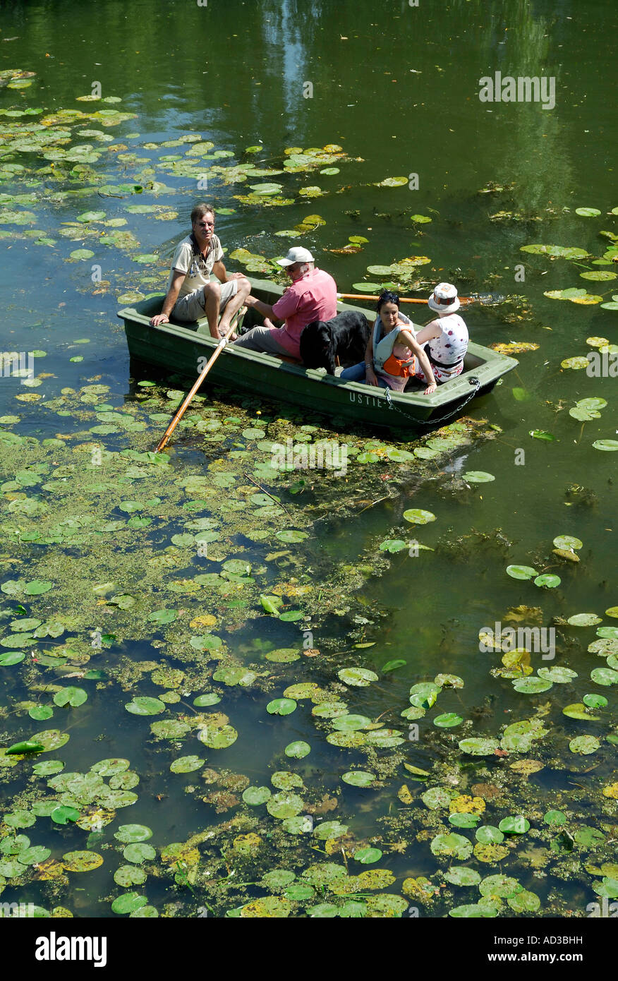 Dog rowing boat hi-res stock photography and images - Alamy
