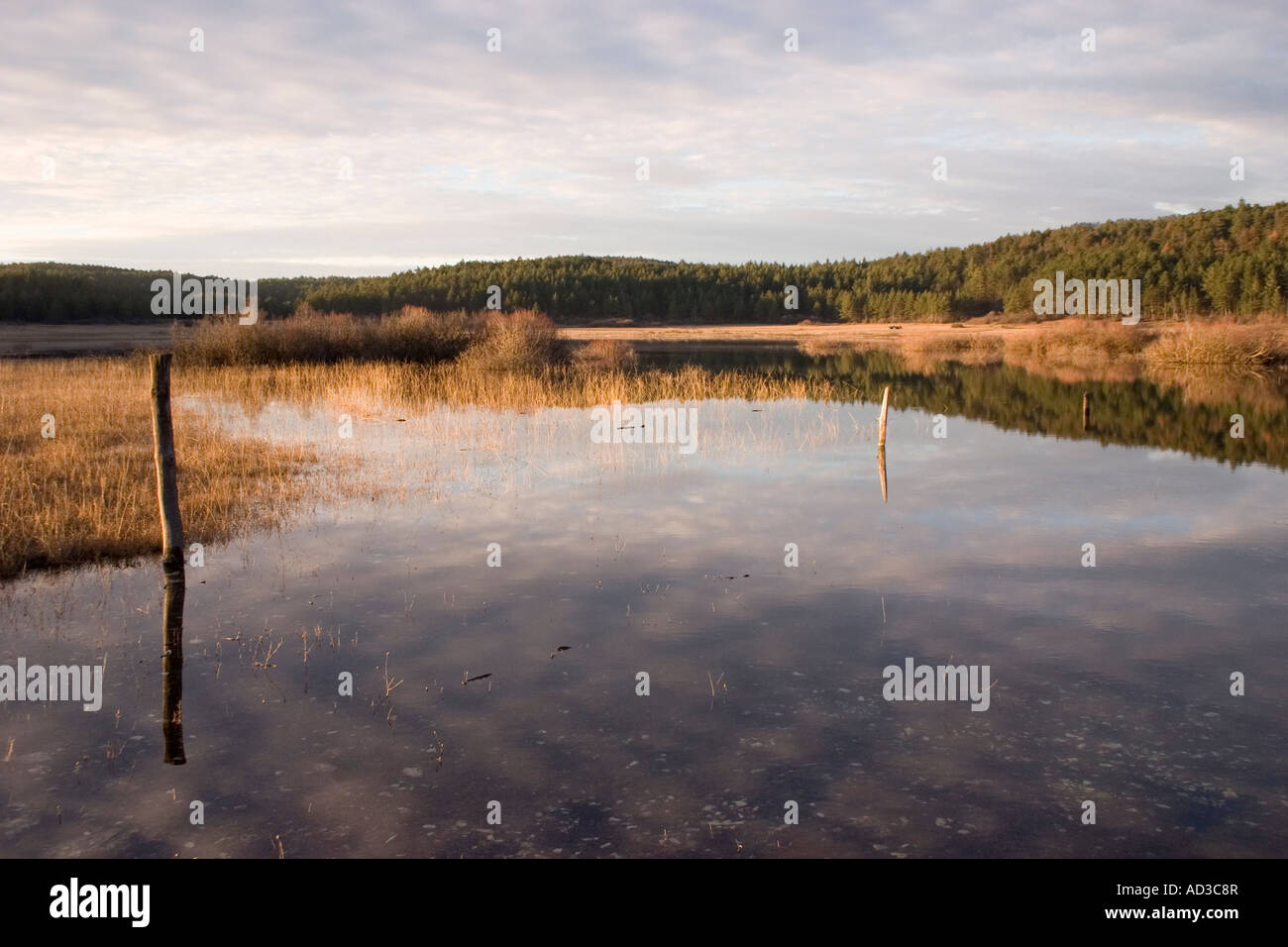 Palsko Jezero, Pivka Region, Slovenia Stock Photo - Alamy