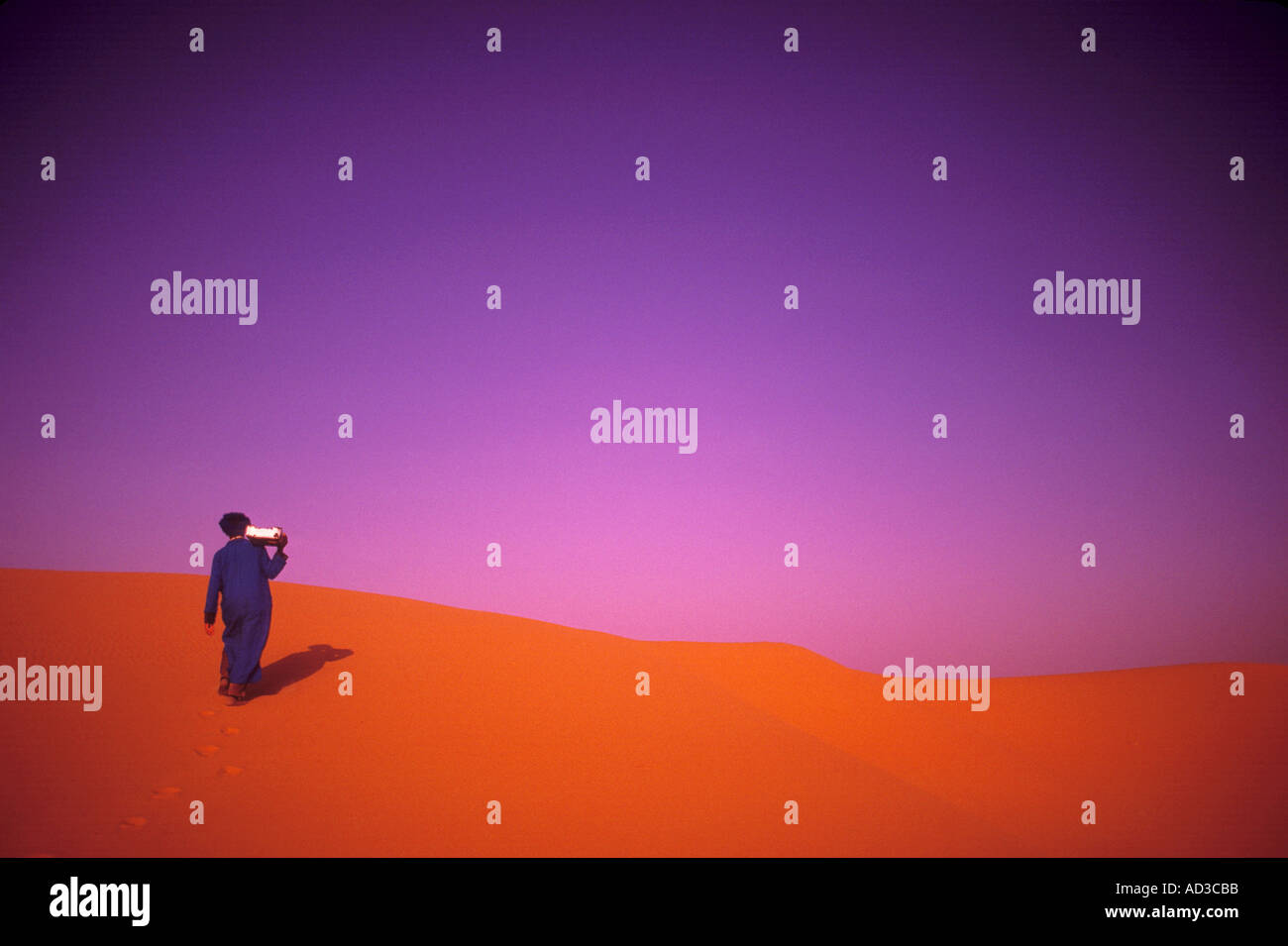 Sweltering desert environment hi-res stock photography and images - Alamy