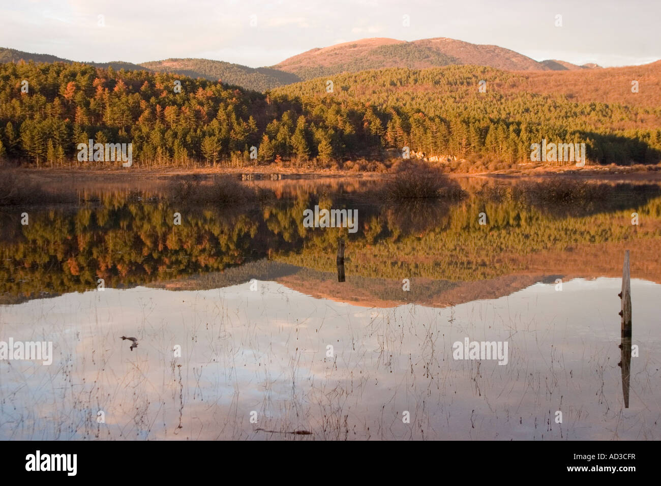 Palsko Jezero, Pivka Region, Slovenia Stock Photo - Alamy