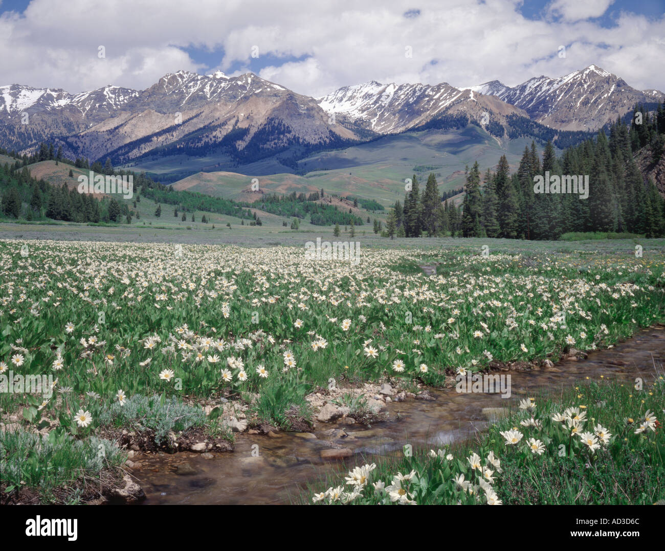 Wetland and sawtooth range hi-res stock photography and images - Alamy