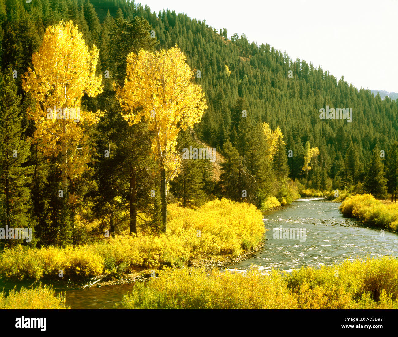 Sawtooth National Recreation Area of Idaho showing autumn colors along ...