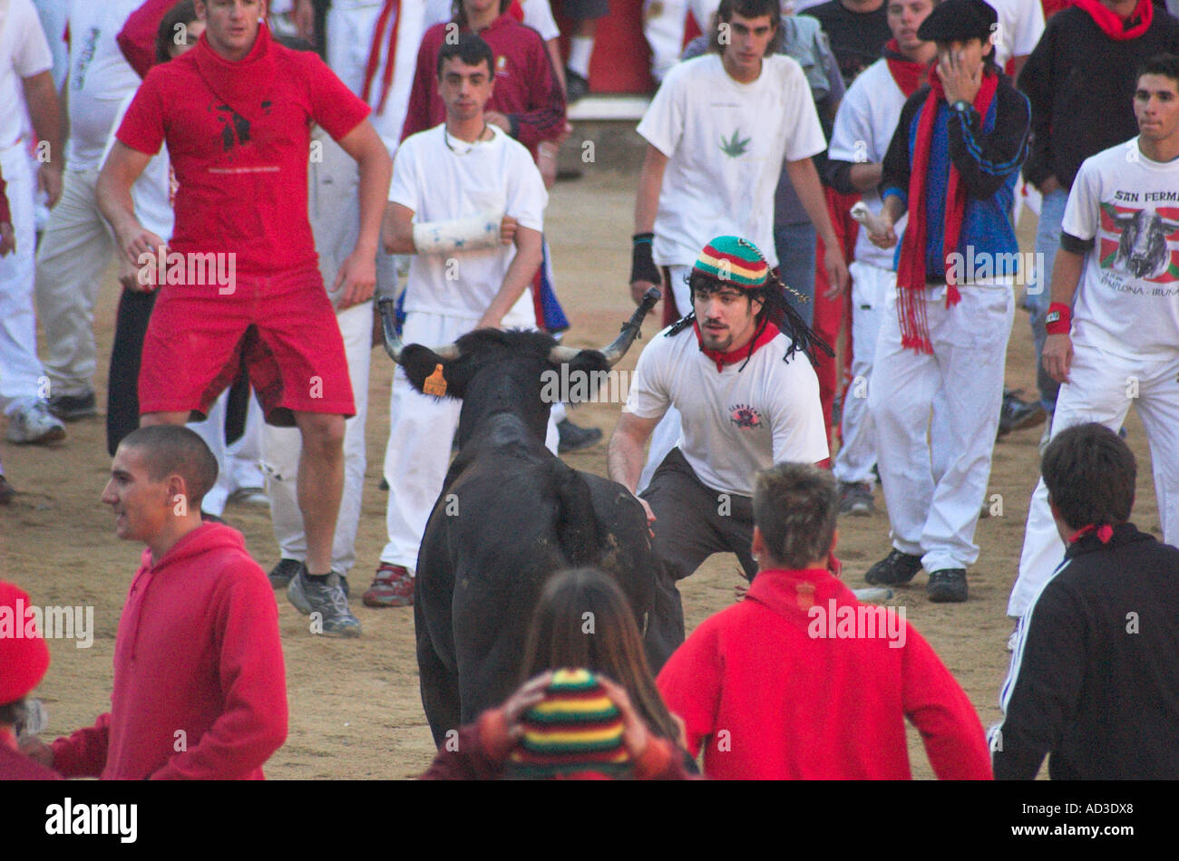 Running of the Bulls, San Fermin Fiesta, Pamplona, Spain Stock Photo ...