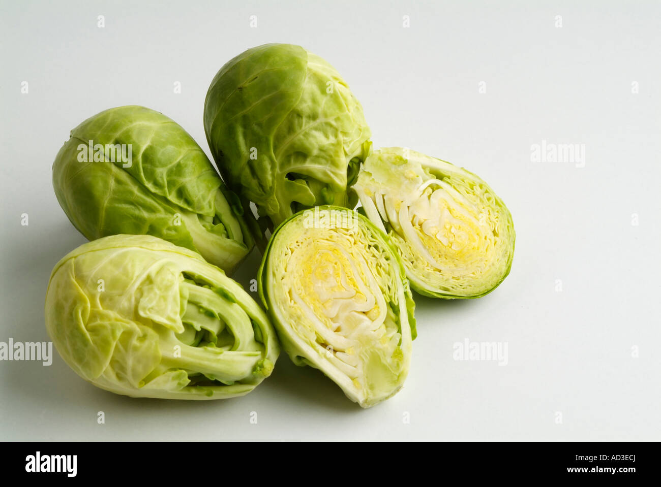 brussels cabbage isolate Stock Photo - Alamy