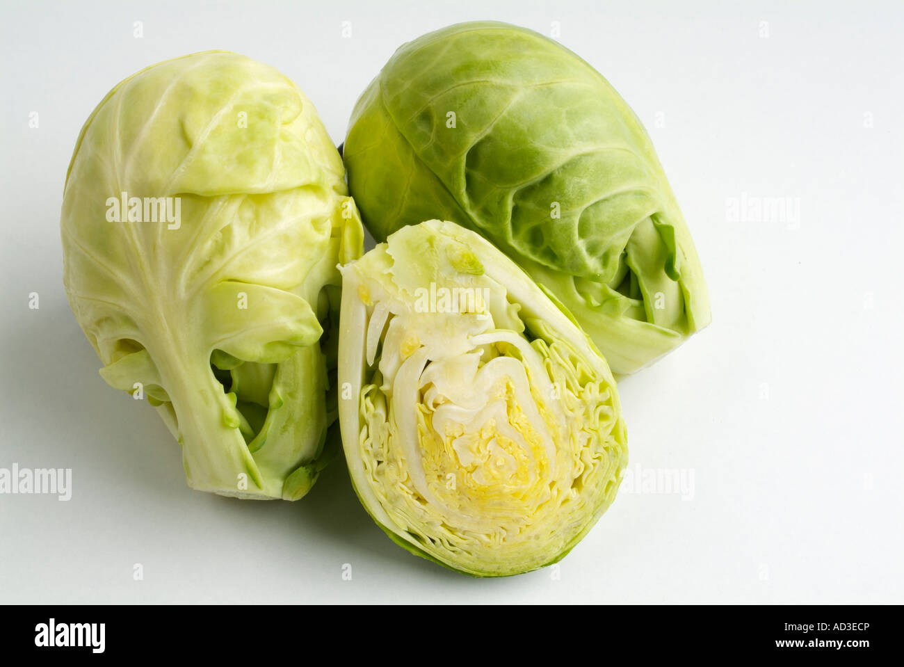 Brussel cabbage hi-res stock photography and images - Alamy