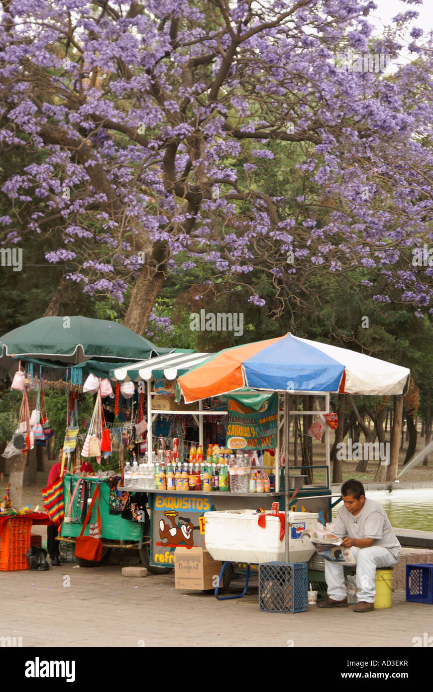 Vendors' carts in Chapultepec Park, Mexico City Stock Photo - Alamy