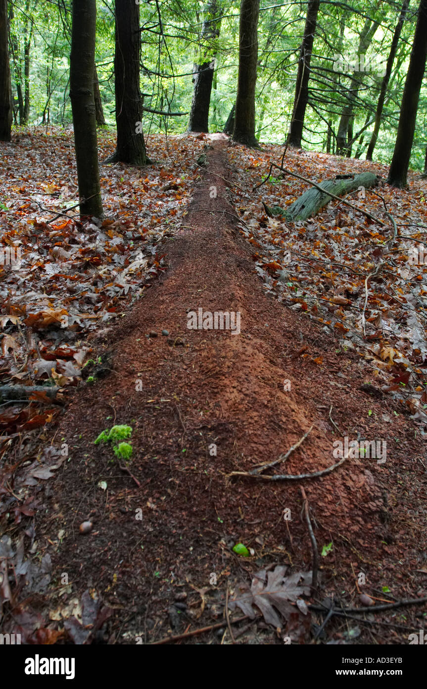 A decayed log reduced to dust in Hocking Hills State Park, Ohio Stock ...