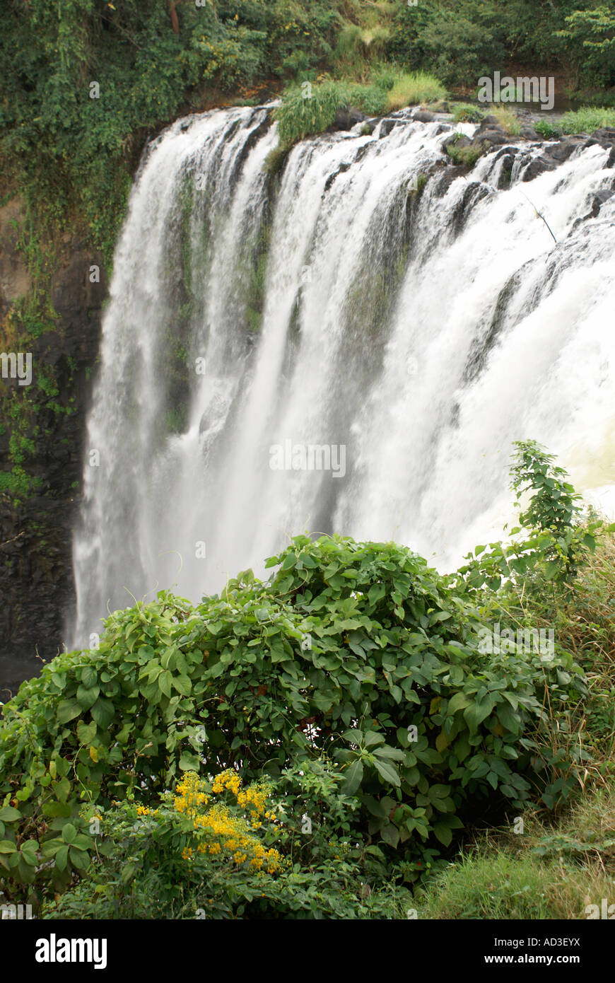 Cascada salta hi-res stock photography and images - Alamy