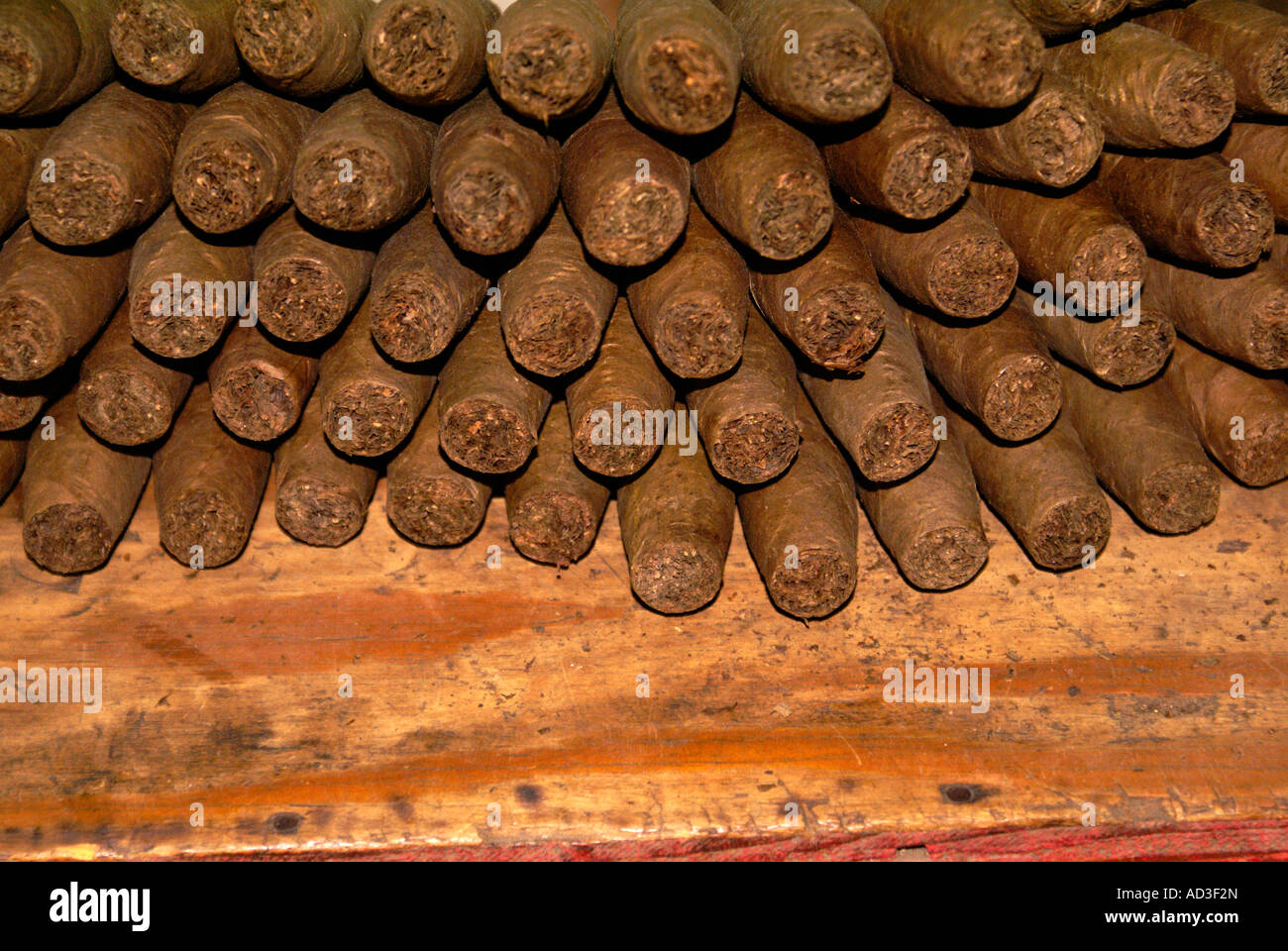 Close up of a stack of freshly rolled cigars in a Mexican cigar factory ...