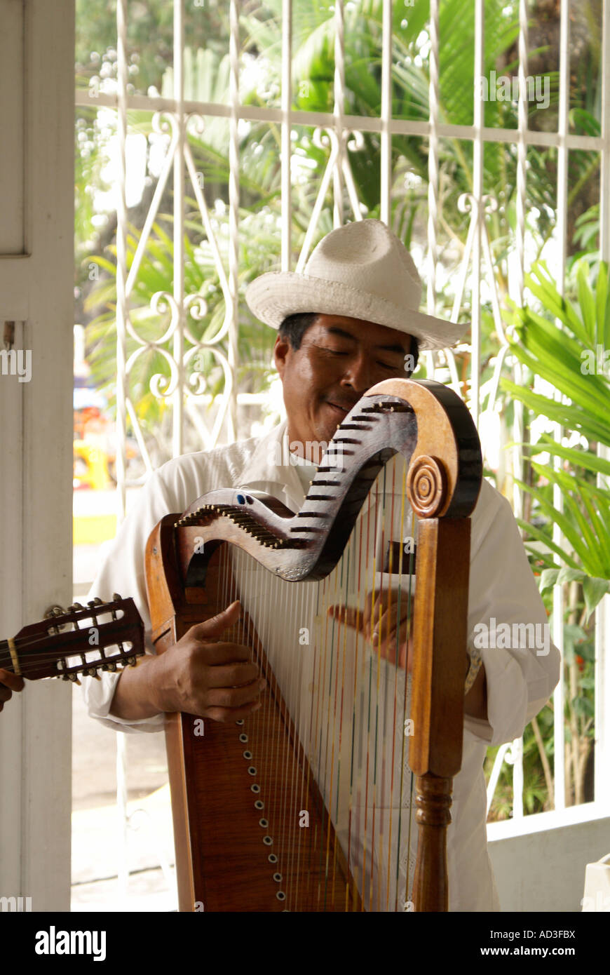 Mexican Folk Harp