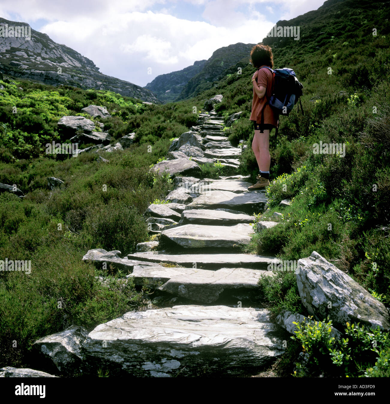 Walking roman steps rhinogs snowdonia hi-res stock photography and ...