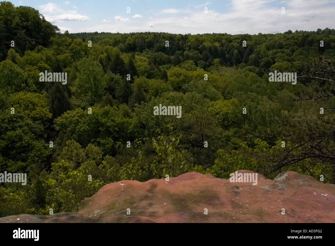 A stone outcrop overlooking a forest in Hocking Hills State Park, Ohio ...