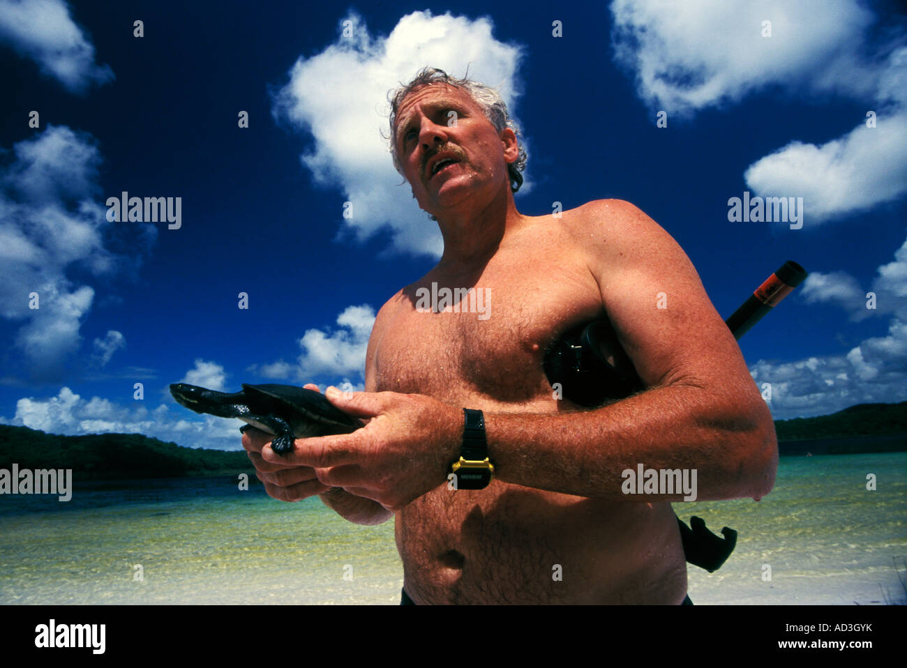 man with turtle, fraser island, queensland, australia Stock Photo - Alamy