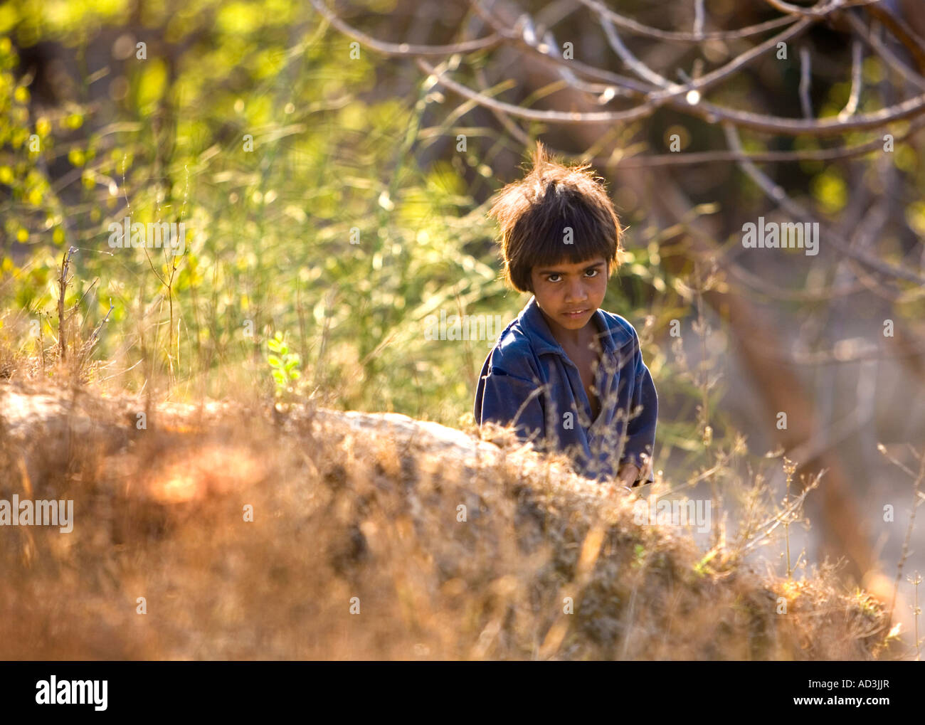 A young Indian boy in the green Agra countryside Stock Photo - Alamy