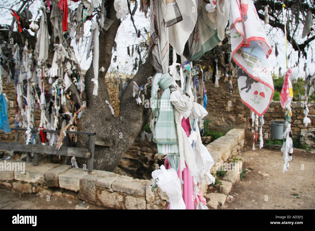 A pistachio tree that marks the entrance to the underground catacombs ...