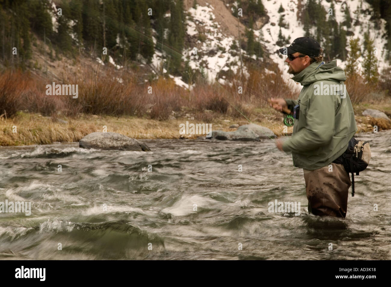 Man fly fishing for trout Stock Photo - Alamy