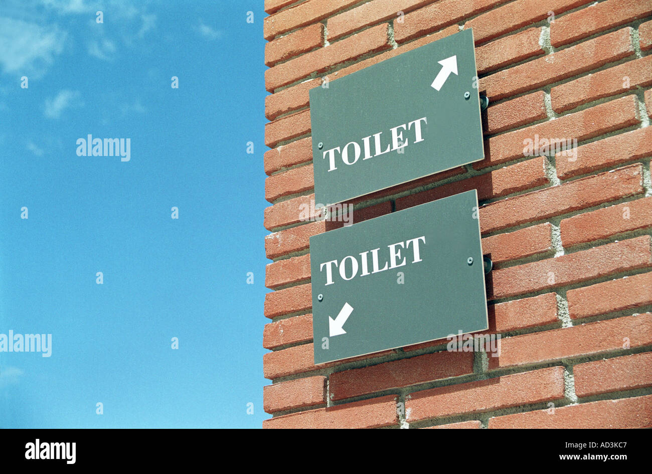 two toilet signs on brick wall Stock Photo - Alamy