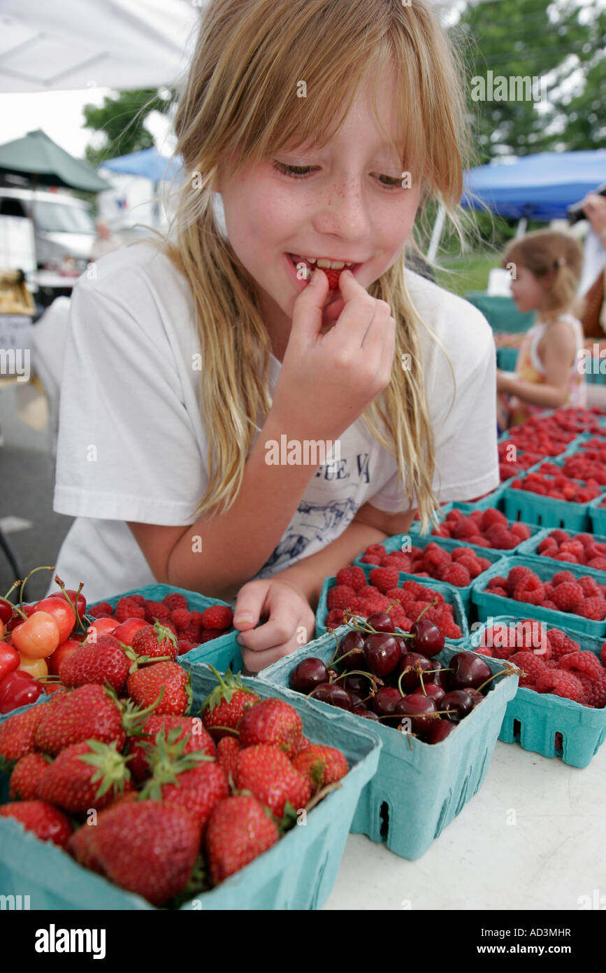 Virginia Loudoun County,Purcellville,farmers market,locally grown ...