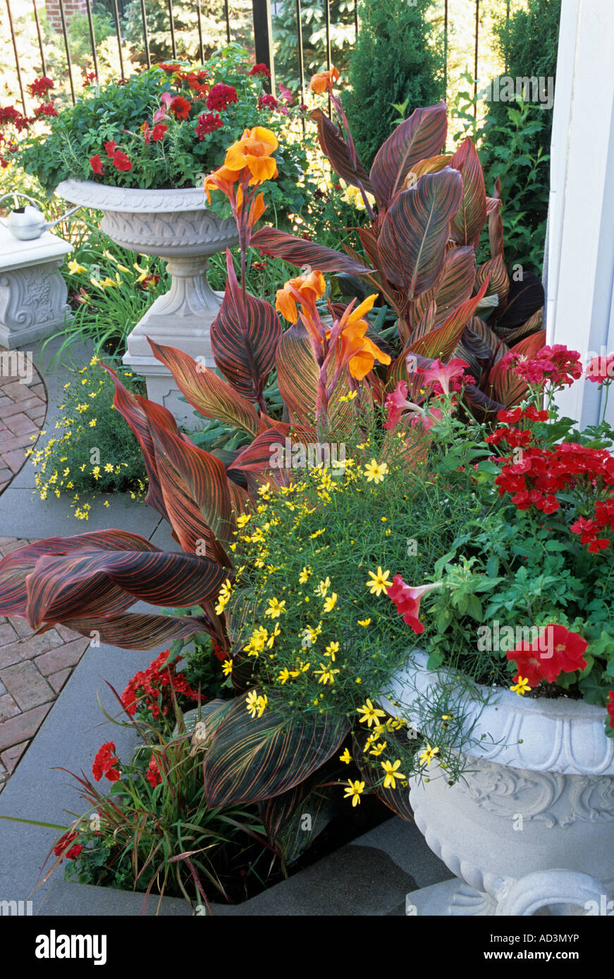Cannas garden hi-res stock photography and images - Alamy