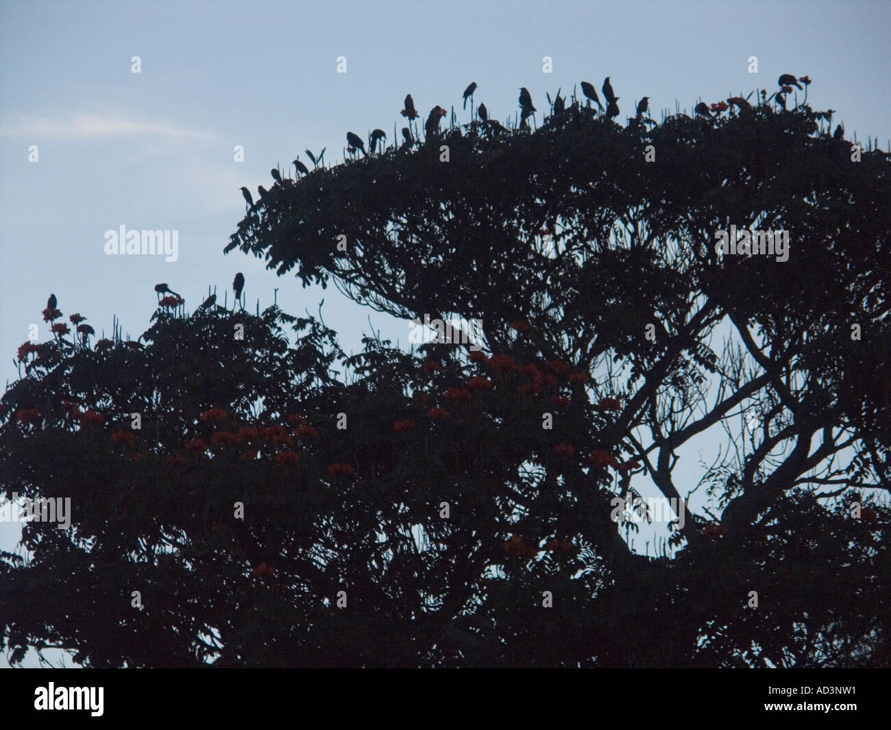 World locatio hi-res stock photography and images - Alamy