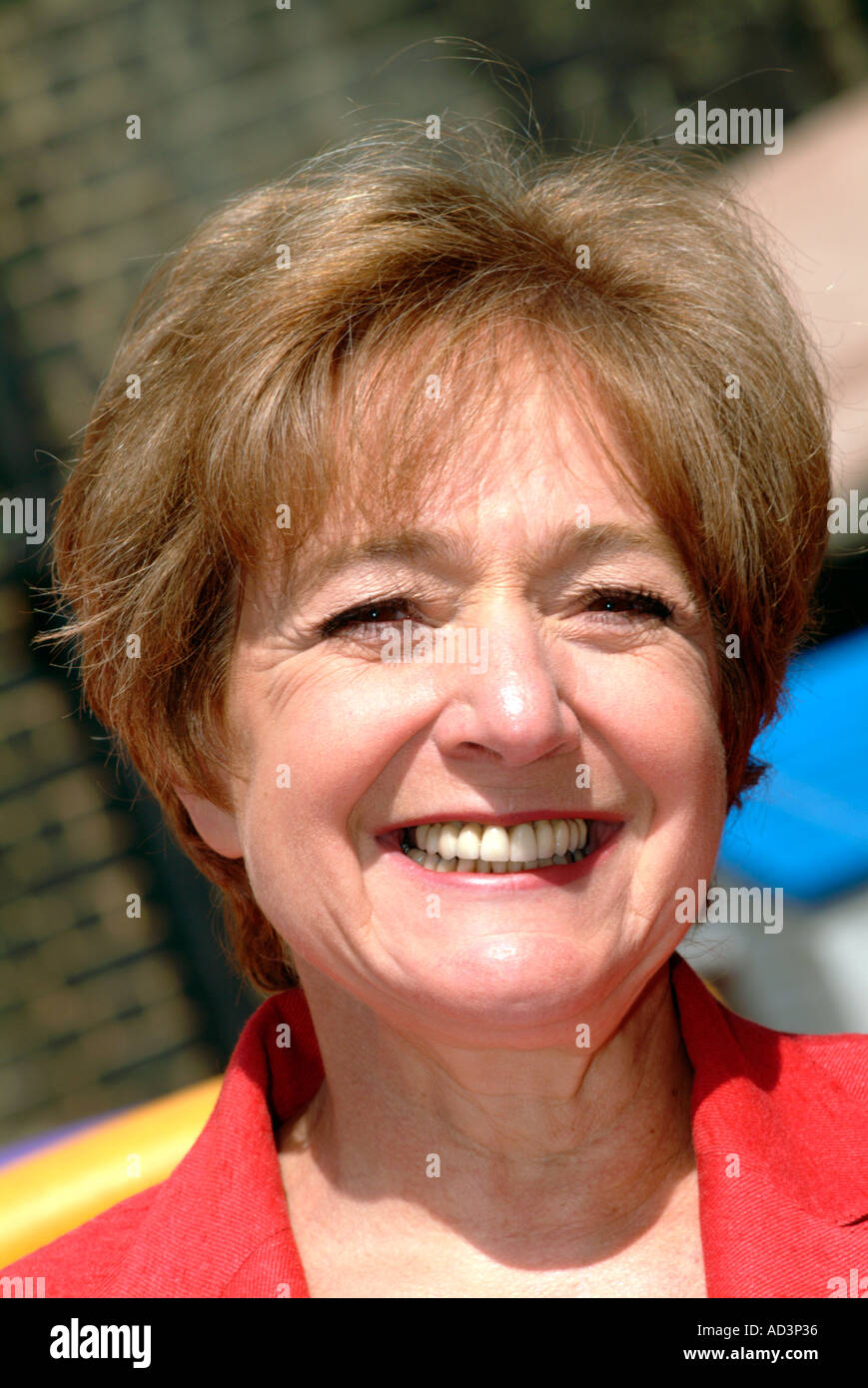 Margaret Hodge Labour MP and Minister of State for Employment and ...