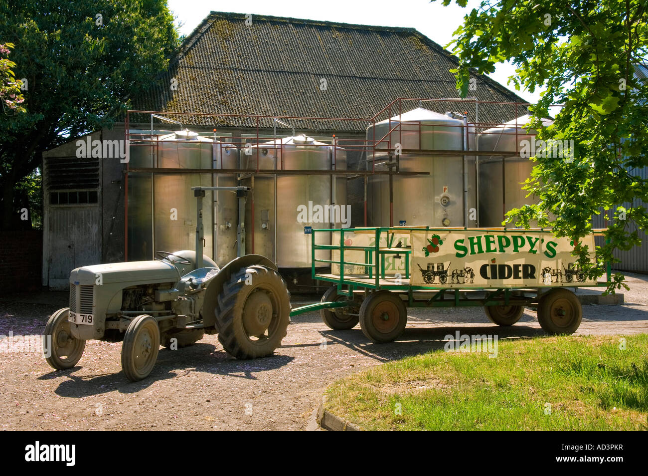 Sheppy s hi-res stock photography and images - Alamy