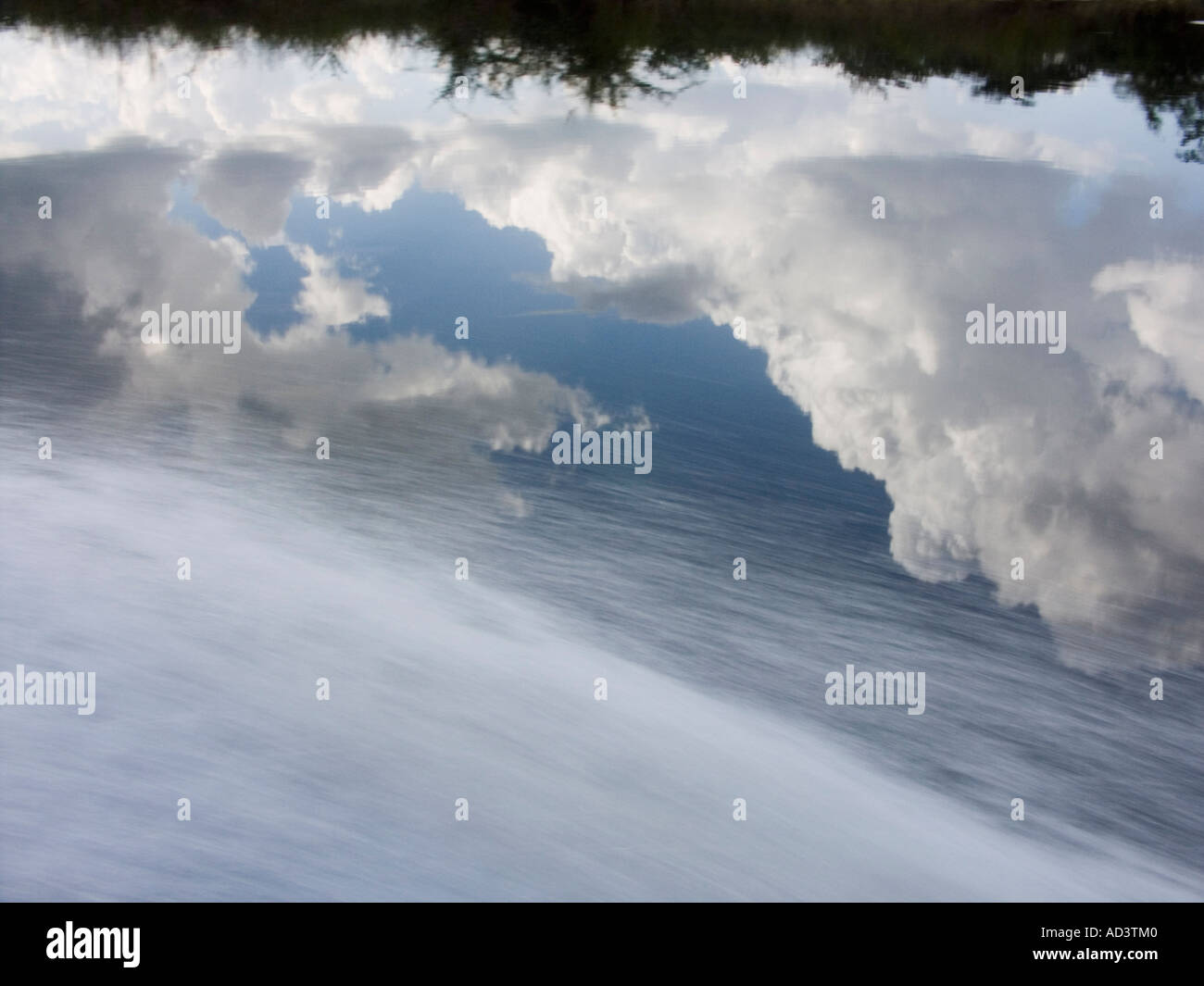 River water in Belize near Orange Walk Stock Photo - Alamy