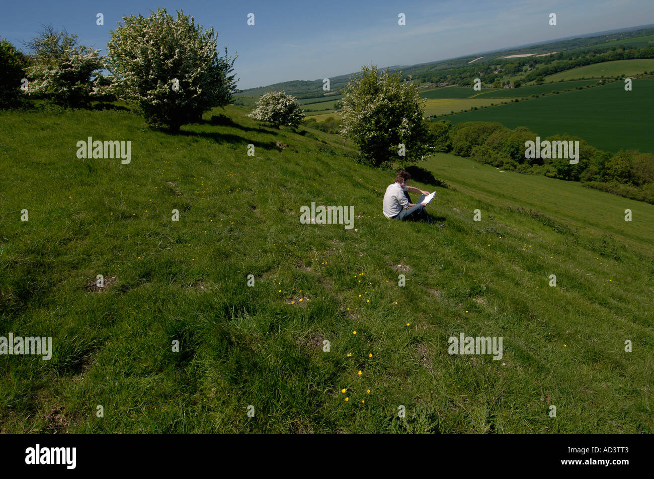 Walker on the famous rabbit warren site Watership Down in Hampshire ...