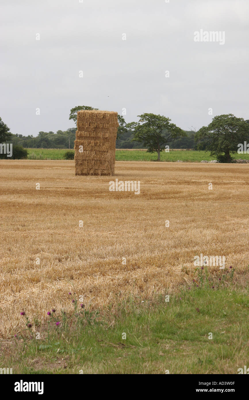 Hay stacks in Norfolk Stock Photo - Alamy
