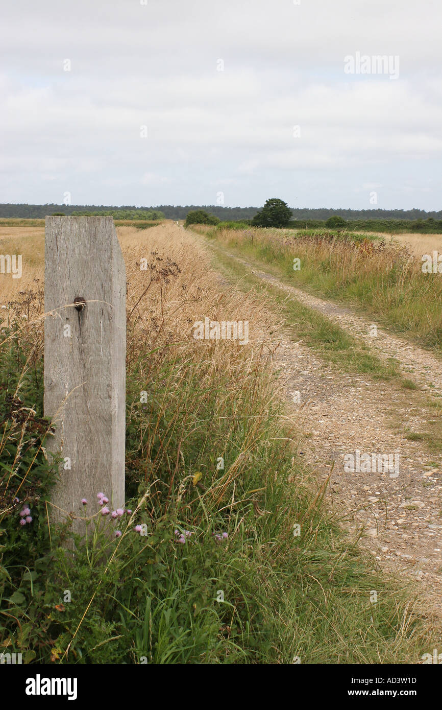 Rural lane in Norfolk Stock Photo - Alamy