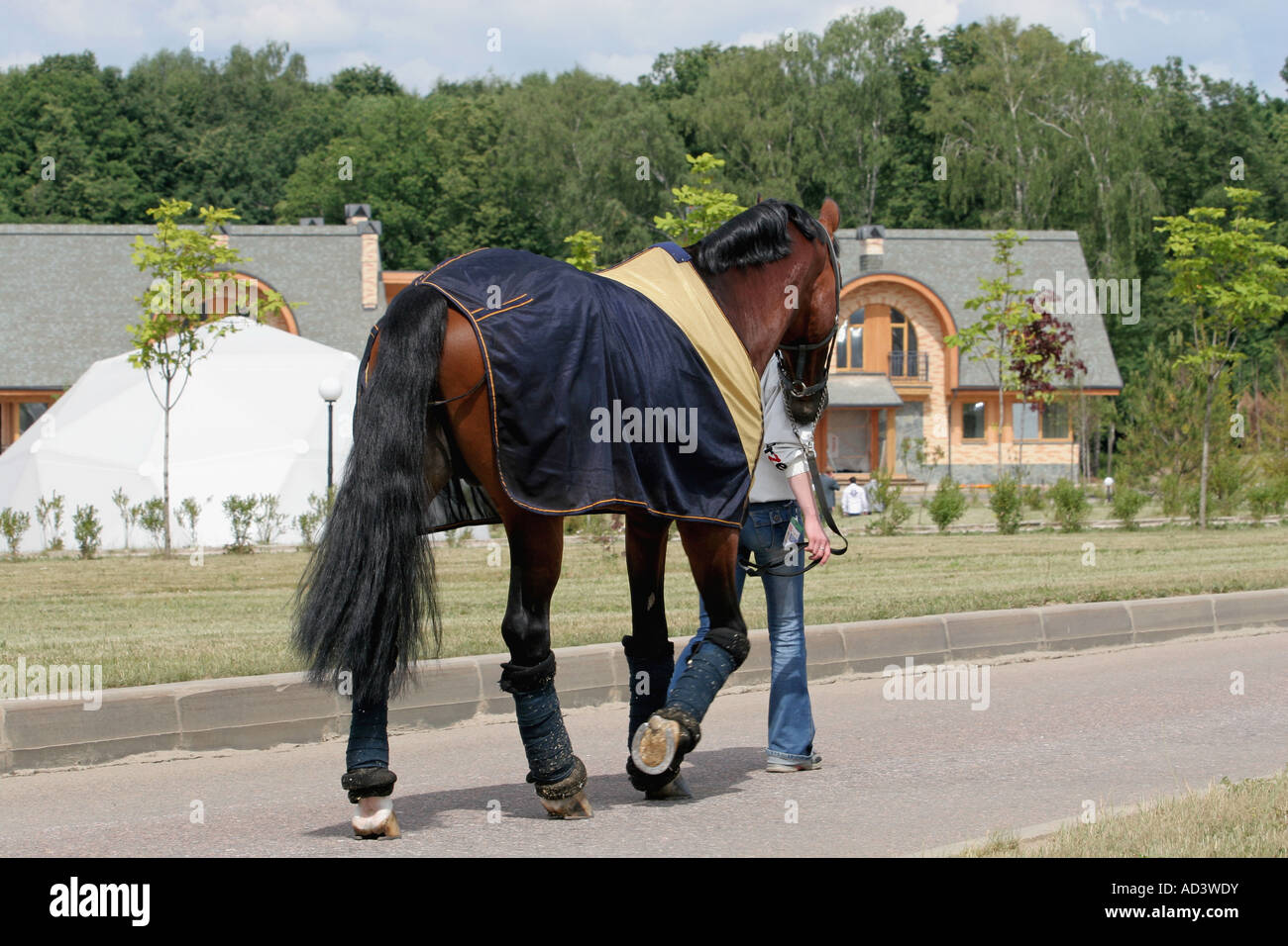 Equestrian cover hi-res stock photography and images - Alamy