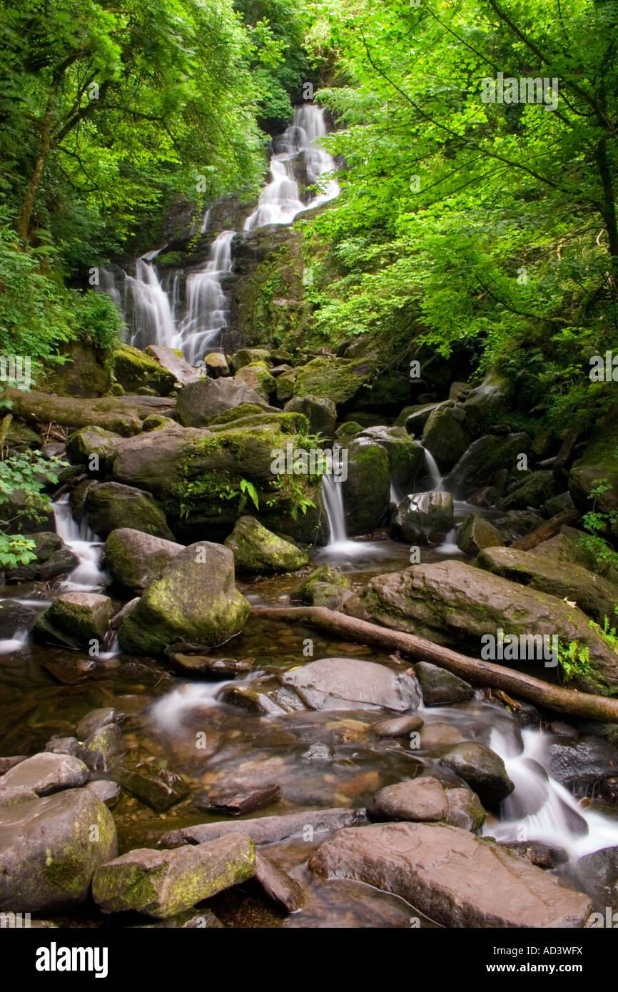 Killarney National Park, County Kerry, Ireland - The Owengarriff River ...