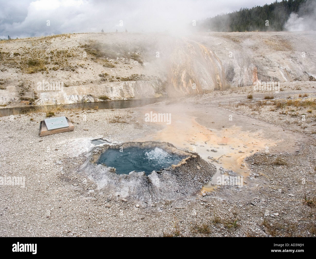 Chinese Spring. Old Faithful area. Yellowstone National Park. Wyoming ...