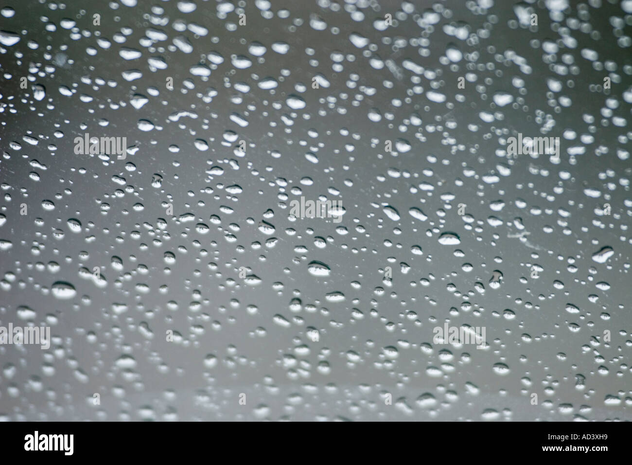 Rain drops on a car window Stock Photo - Alamy