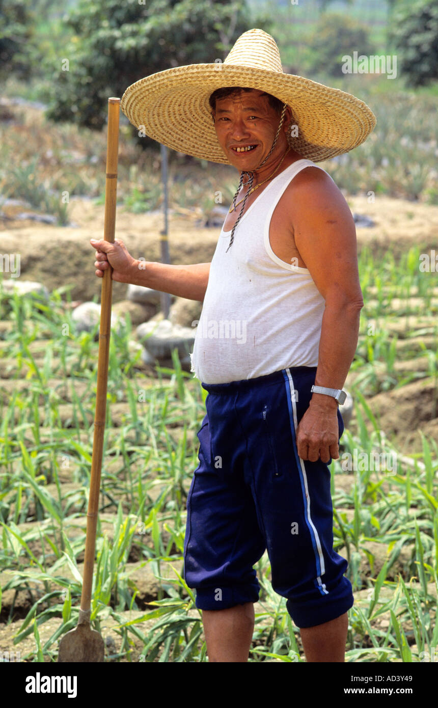 A ginger farmer in Taiwan Stock Photo - Alamy