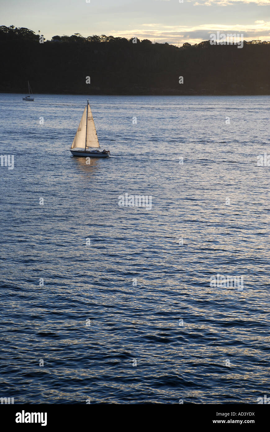 SAIL BOAT YACHT IN ELIZABETH BAY SYDNEY AUSTRALIA AT SUNSET Stock Photo ...