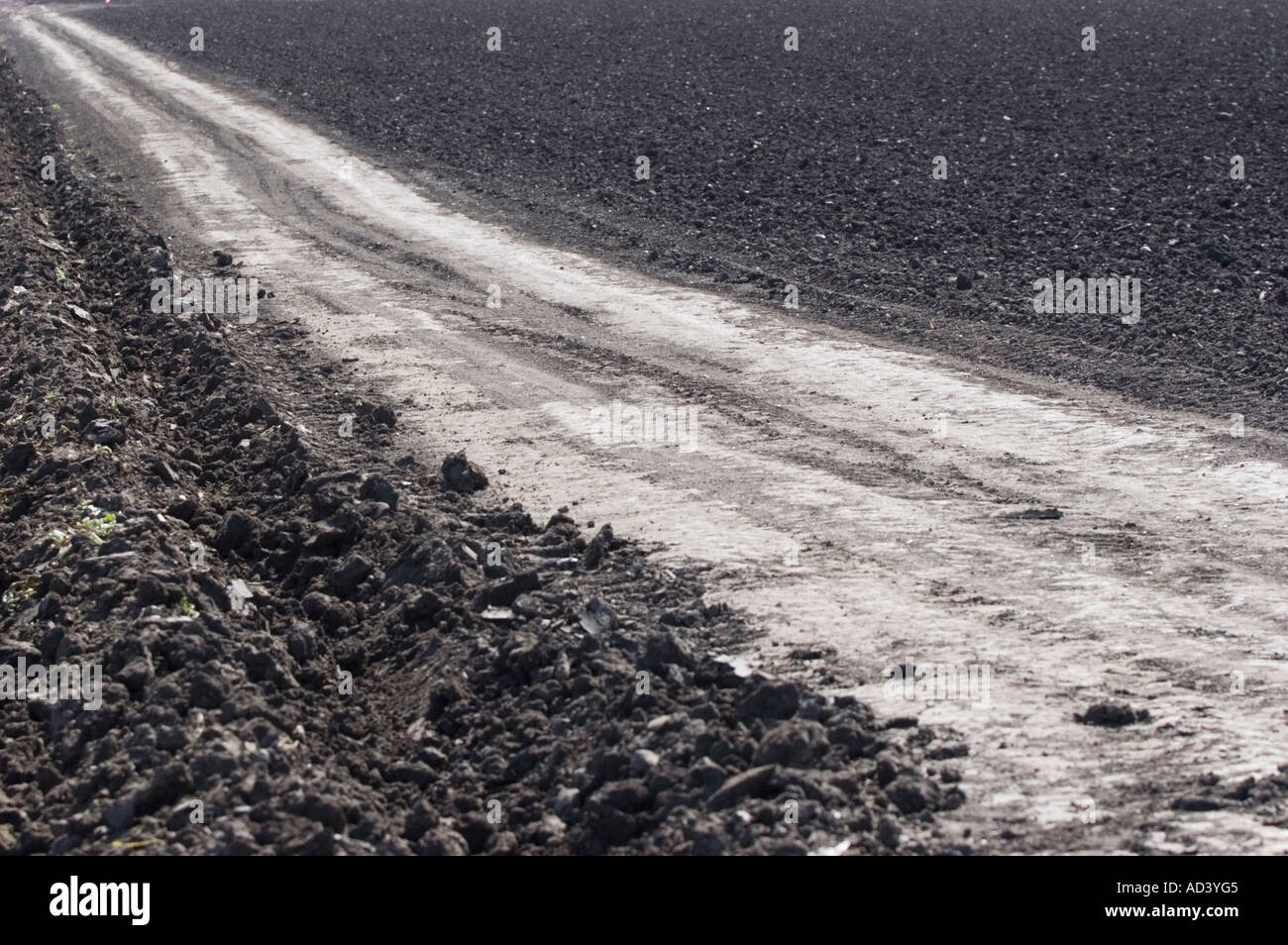 Dry muddy path hi-res stock photography and images - Alamy