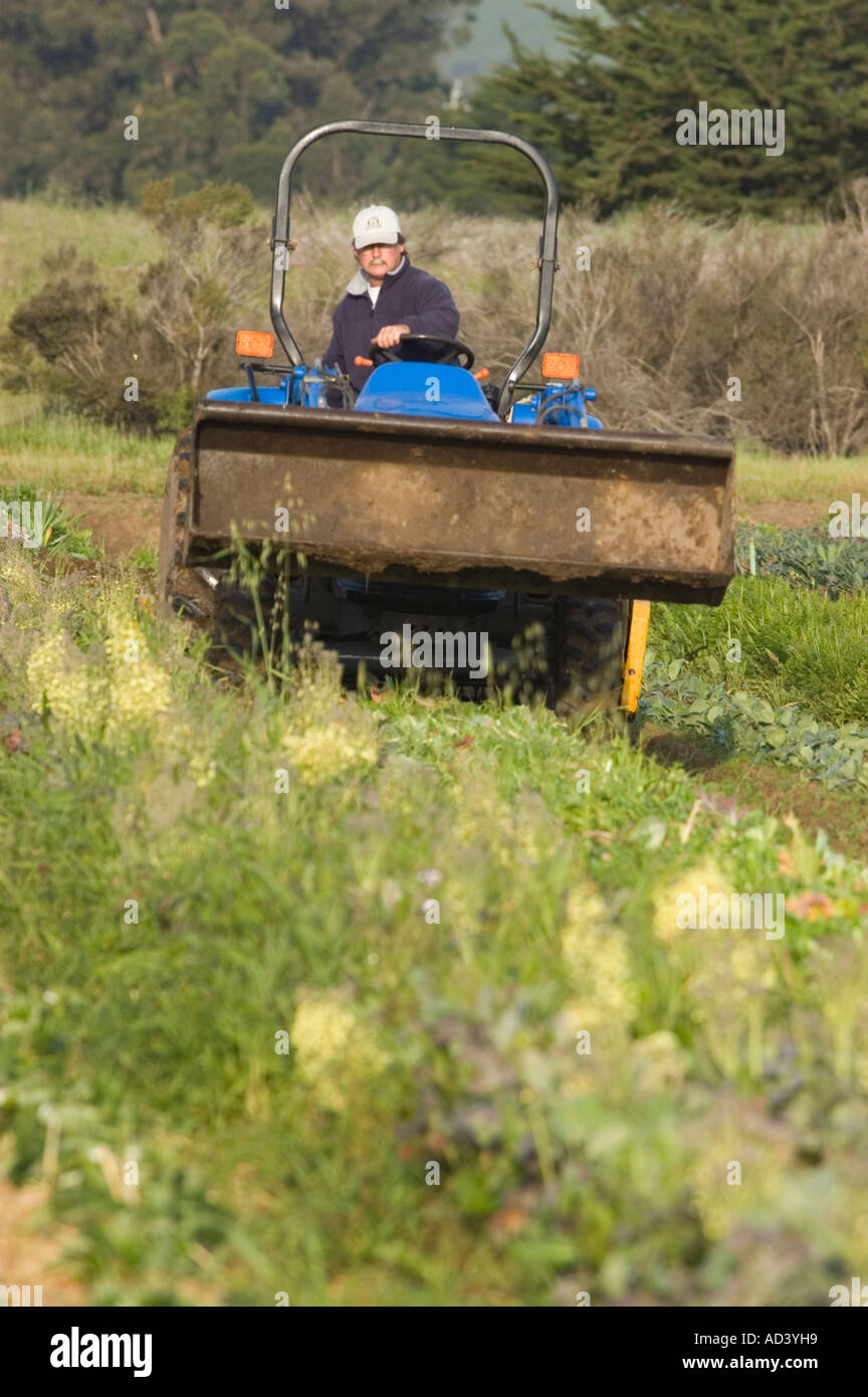 Small scale farmer at work Stock Photo - Alamy