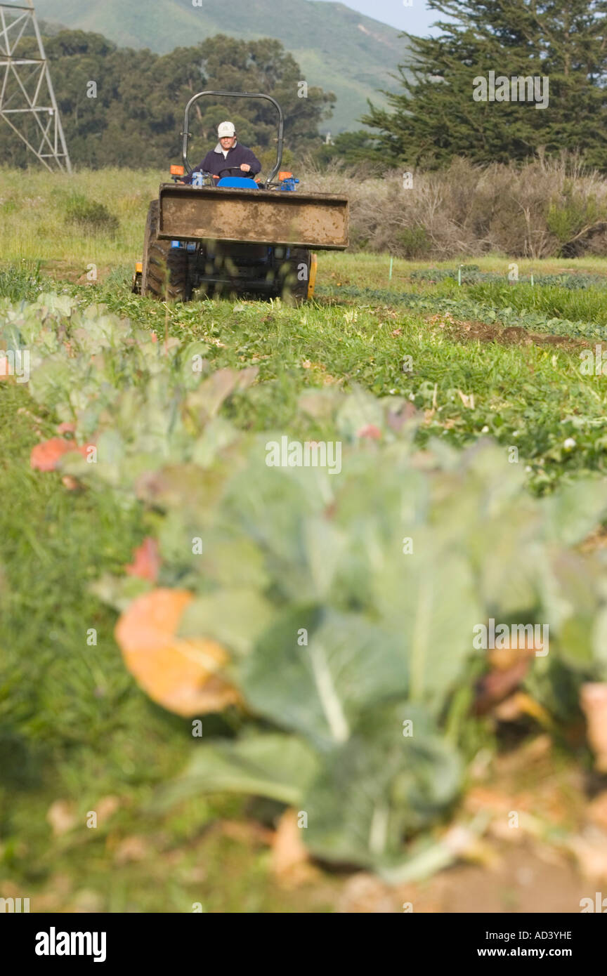 Small scale farmer at work Stock Photo - Alamy