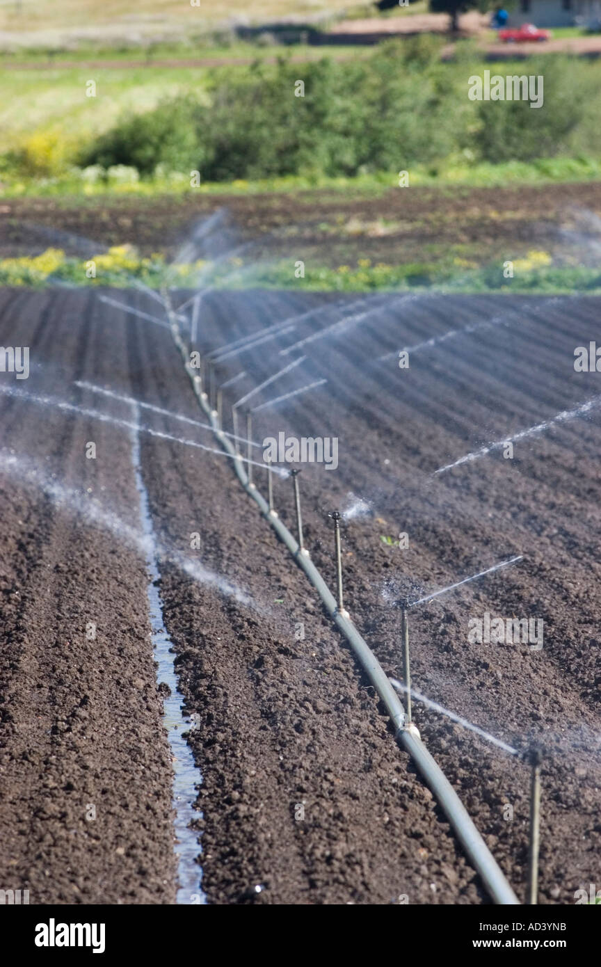 Irrigated Farm High Resolution Stock Photography and Images - Alamy
