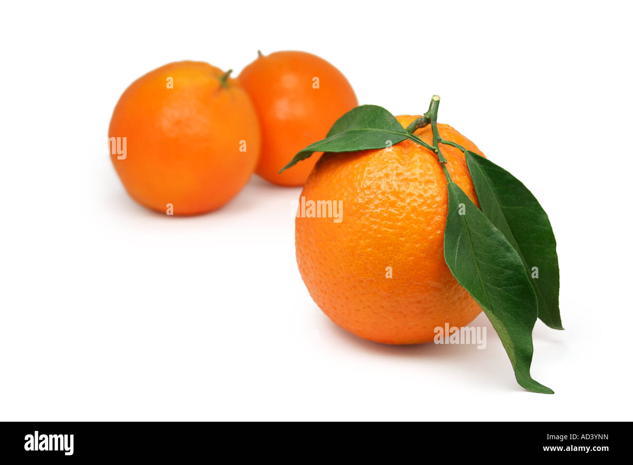 Oranges with leaves Stock Photo - Alamy