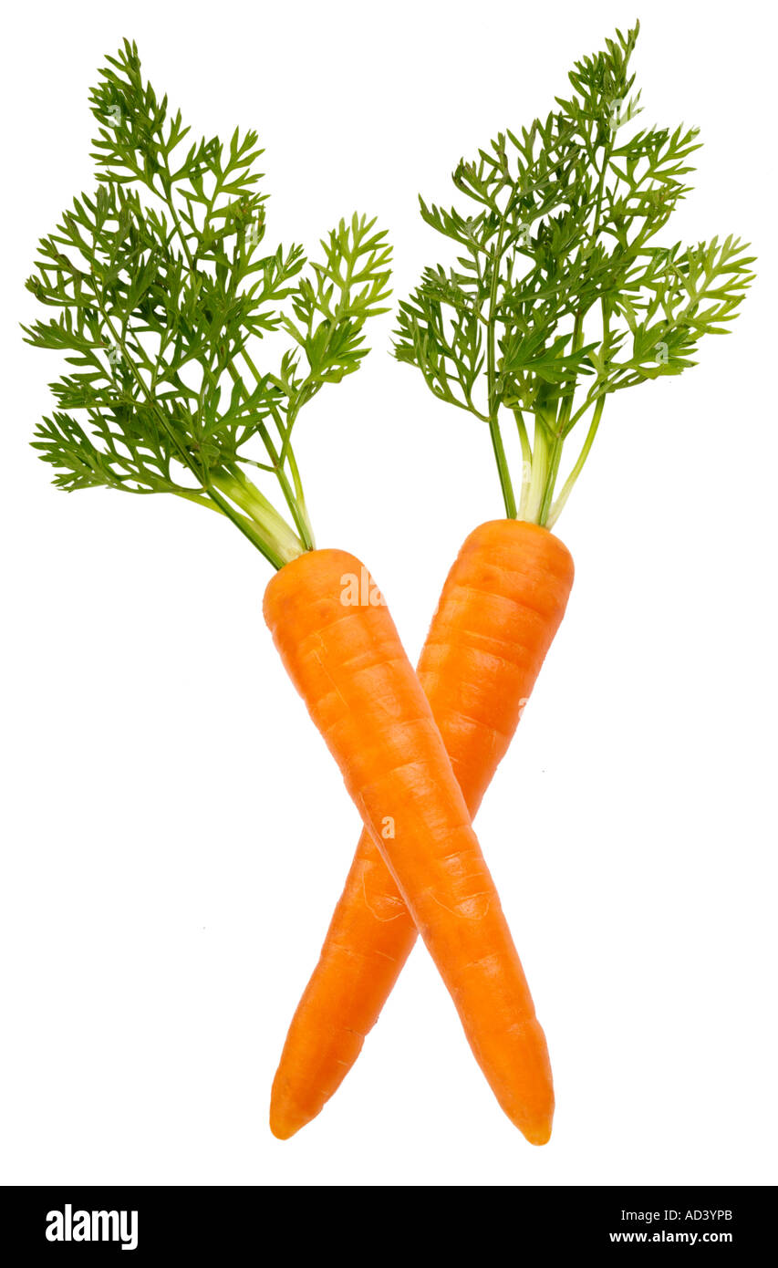 Carrot Cut Out