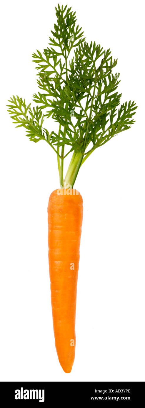 Carrot cut out hi-res stock photography and images - Alamy