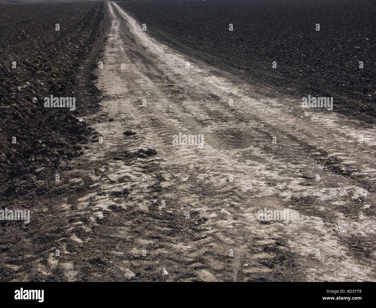 Fields mark hi-res stock photography and images - Alamy