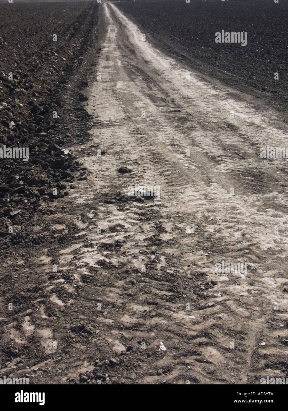 Fields mark hi-res stock photography and images - Alamy