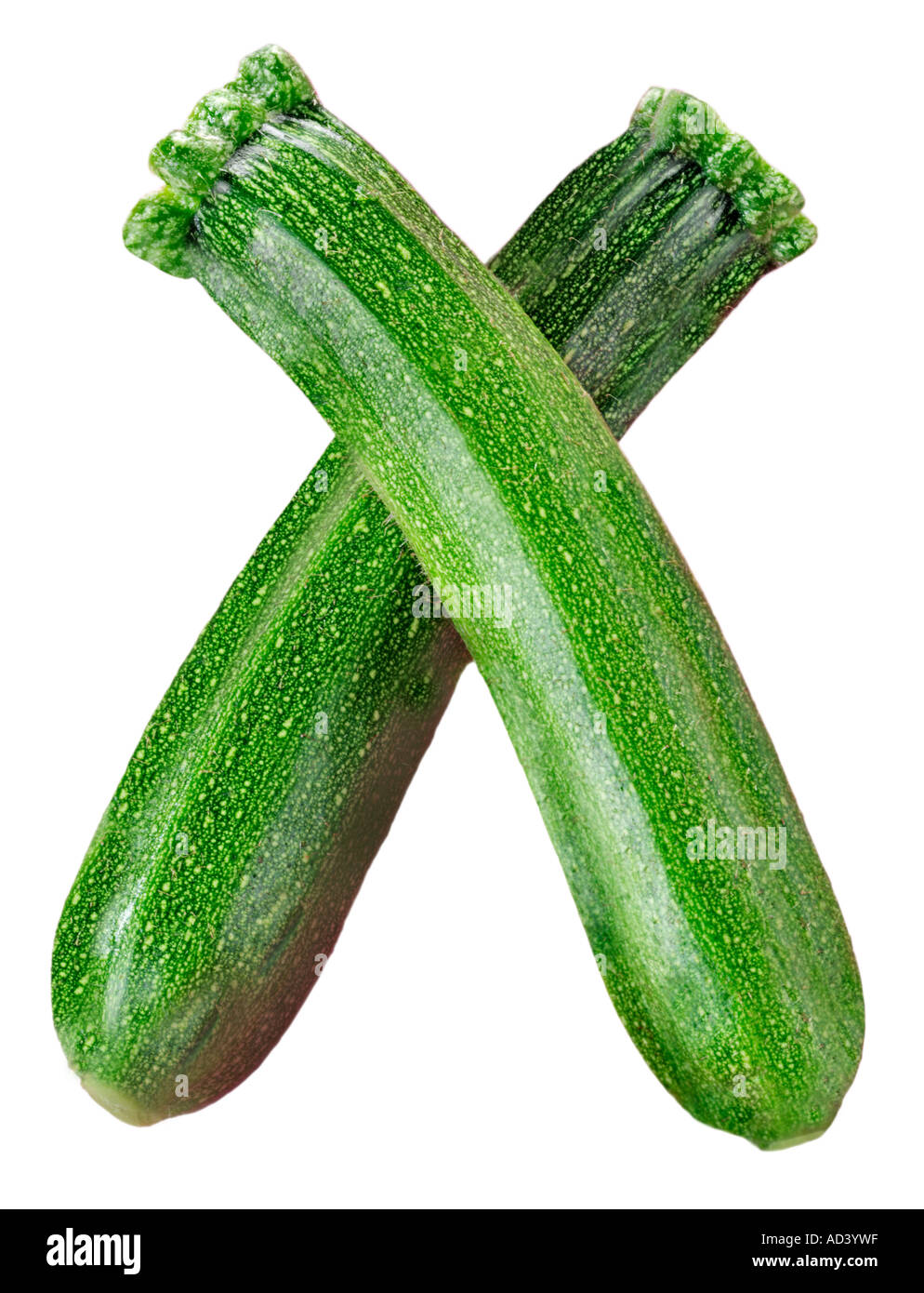 TWO FRESH COURGETTES OR ZUCCHINI Stock Photo - Alamy