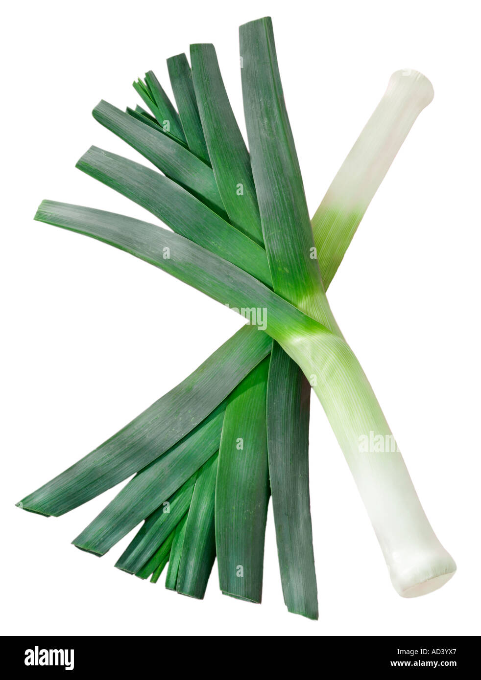 TWO WHOLE LEEKS Stock Photo - Alamy