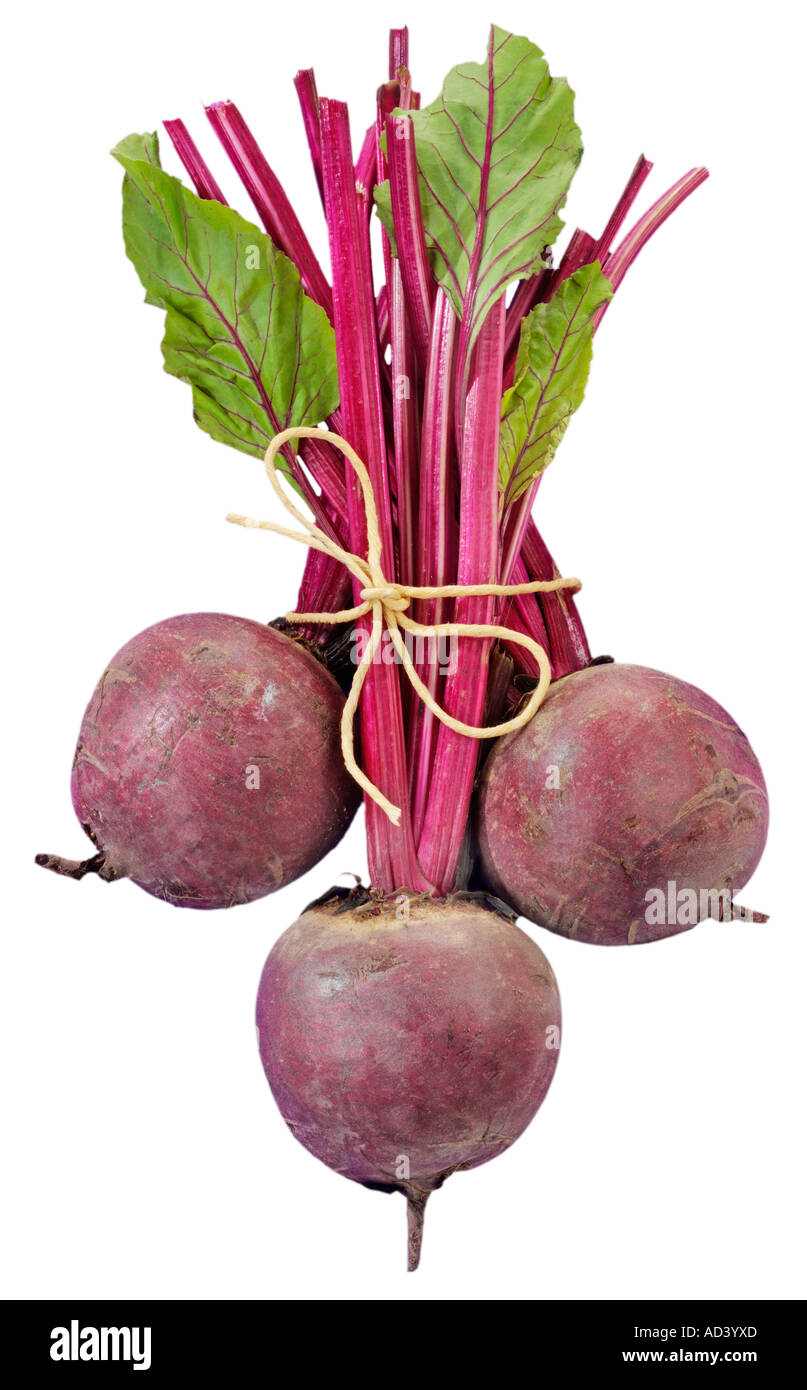BEETROOT CUT OUT Stock Photo - Alamy