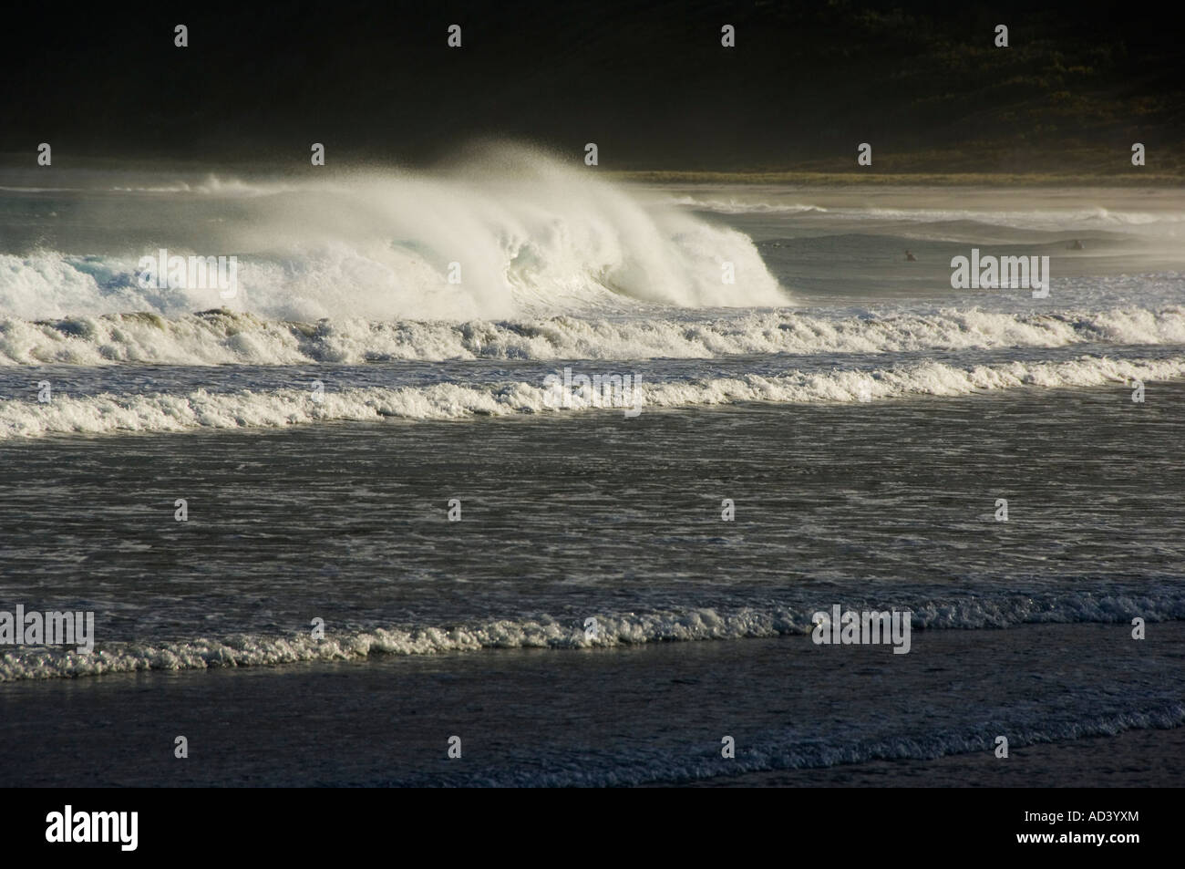 Australia Tasmania Tasman Peninsula Tasman National Park Big Surf at ...
